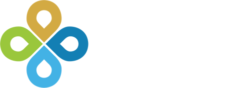 Sdii Global; About Us