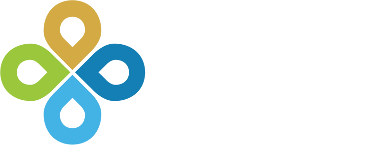 Sdii Global; About Us